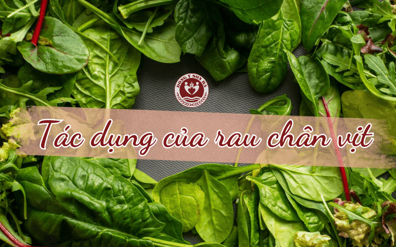 10+ Tác dụng tuyệt vời của rau chân vịt với sức khỏe